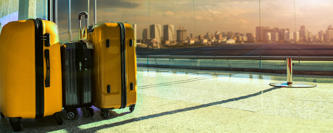 Official Website Pigeon Luggage | Order Now